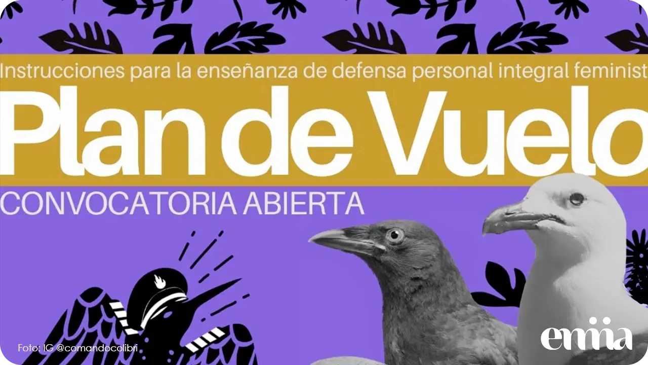 Comando Colibrí, organización transfeminista, lanza convocatoria para escuela piloto de defensa ...